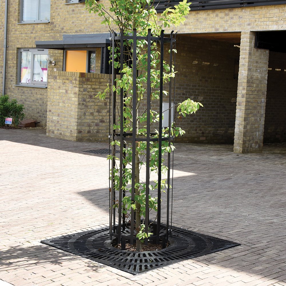 Poplar Mild Steel Tree Guard | Street Furniture